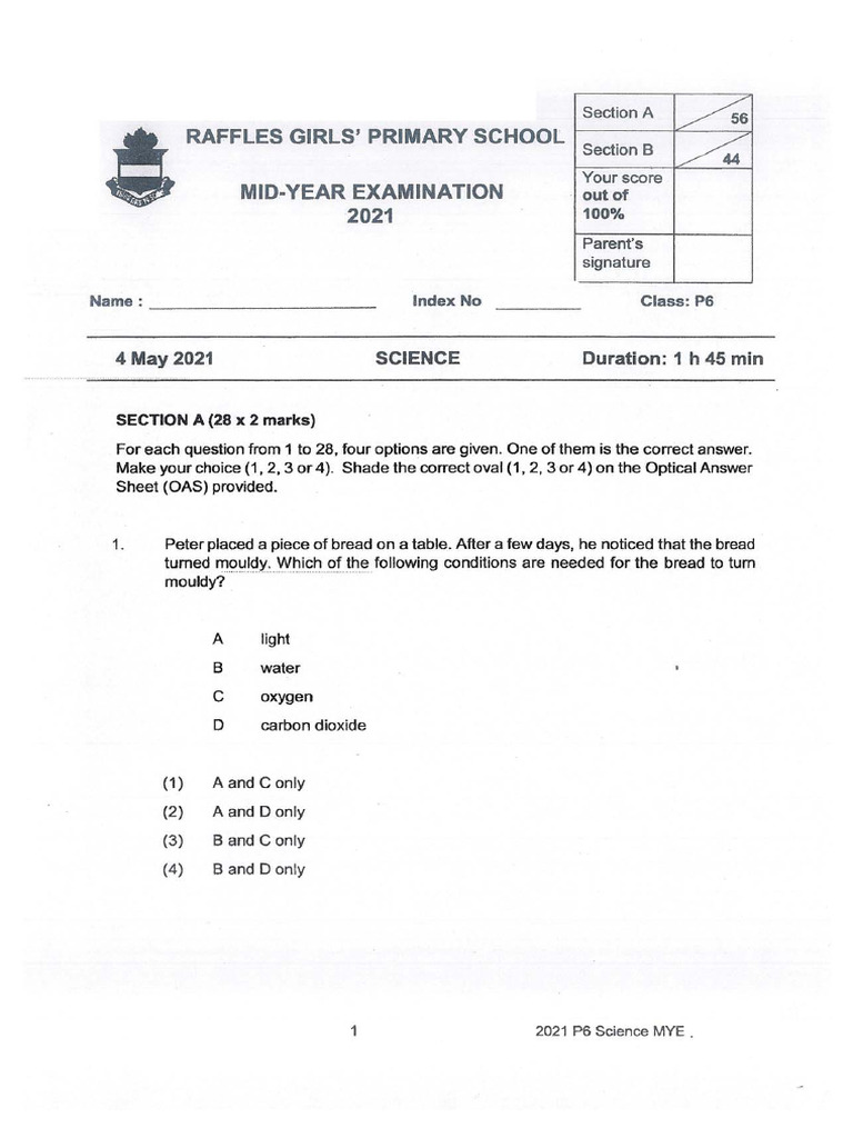 07 2021 P6 SA1 - Raffles Girls - Primary School | PDF