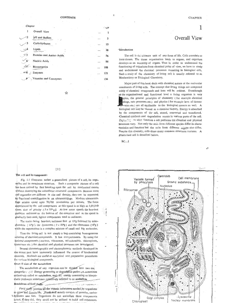 Biochemistry Book | PDF