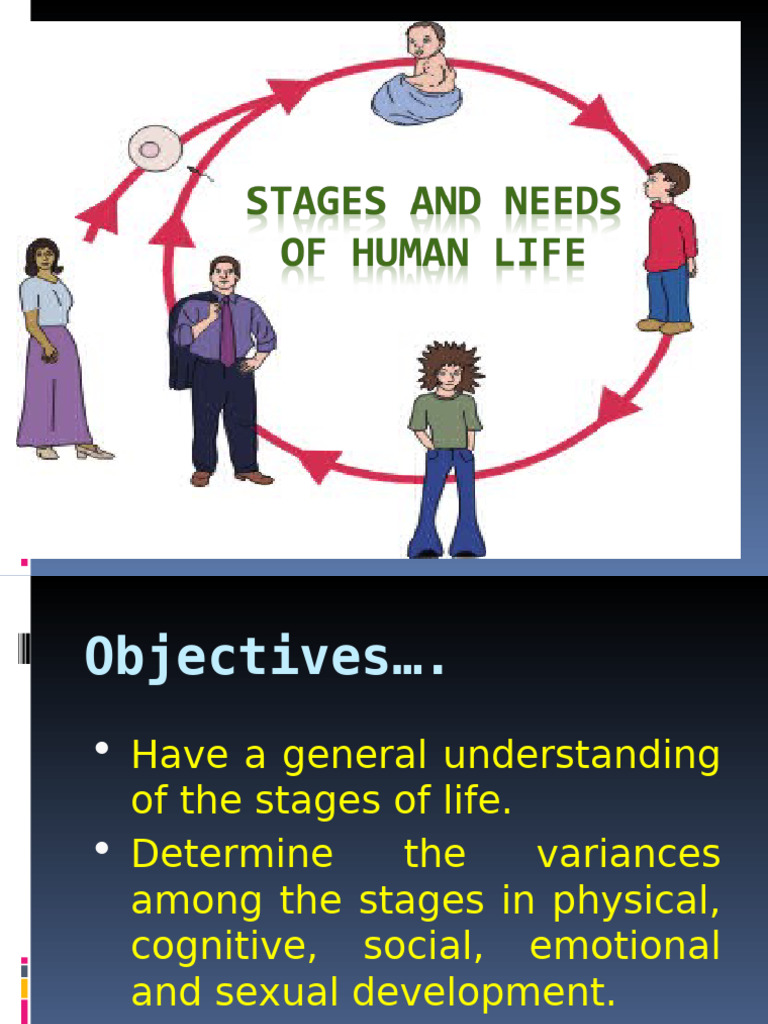 Understanding Life Stages and Development | PDF | Adolescence | Human ...