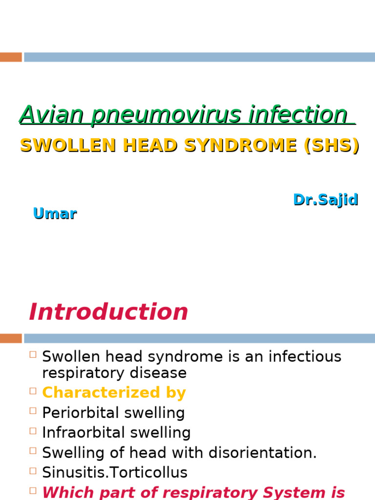 Avian Pneumovirus: Swollen Head Syndrome | PDF | Virus | Infection