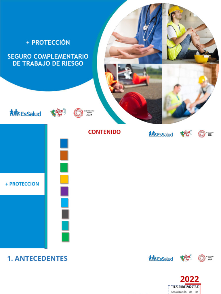 + PROTECCIÓN SCTR | PDF | Seguro | Agua