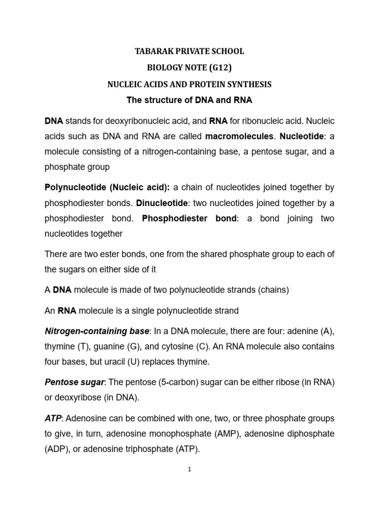 Nucleic Acids & Protein Synthesis Guide | PDF | Translation (Biology ...