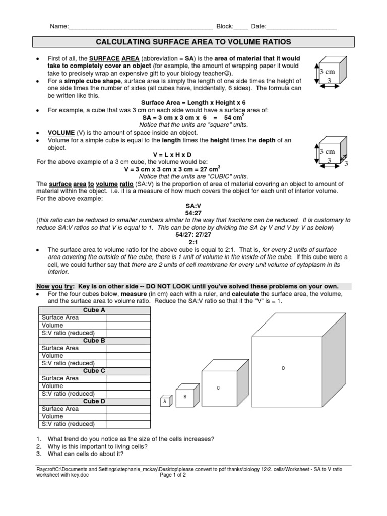 Surface Area to Volume Ratio Worksheet | PDF | Surface Area | Volume
