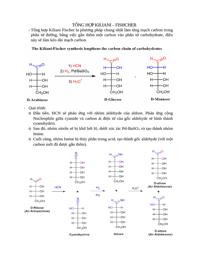T NG H P Kiliani - Fischer | PDF