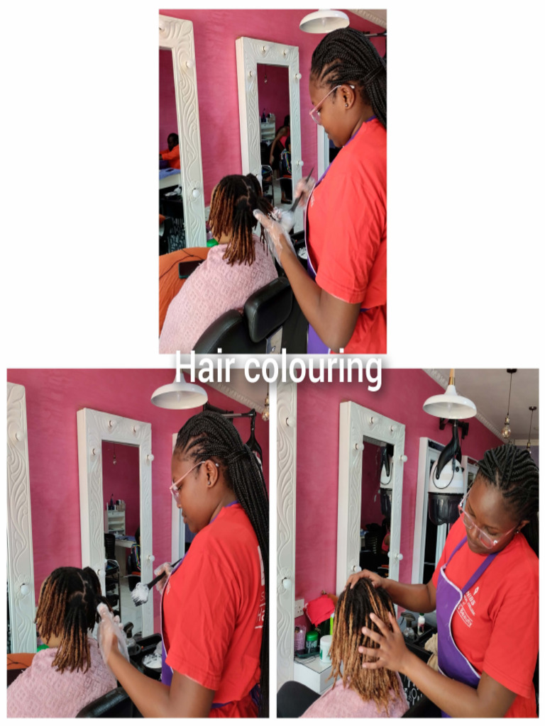 Hair Colouring | PDF