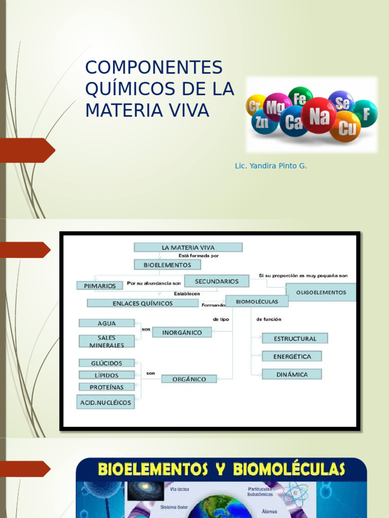 Componentes Químicos de La Materia Viva | PDF