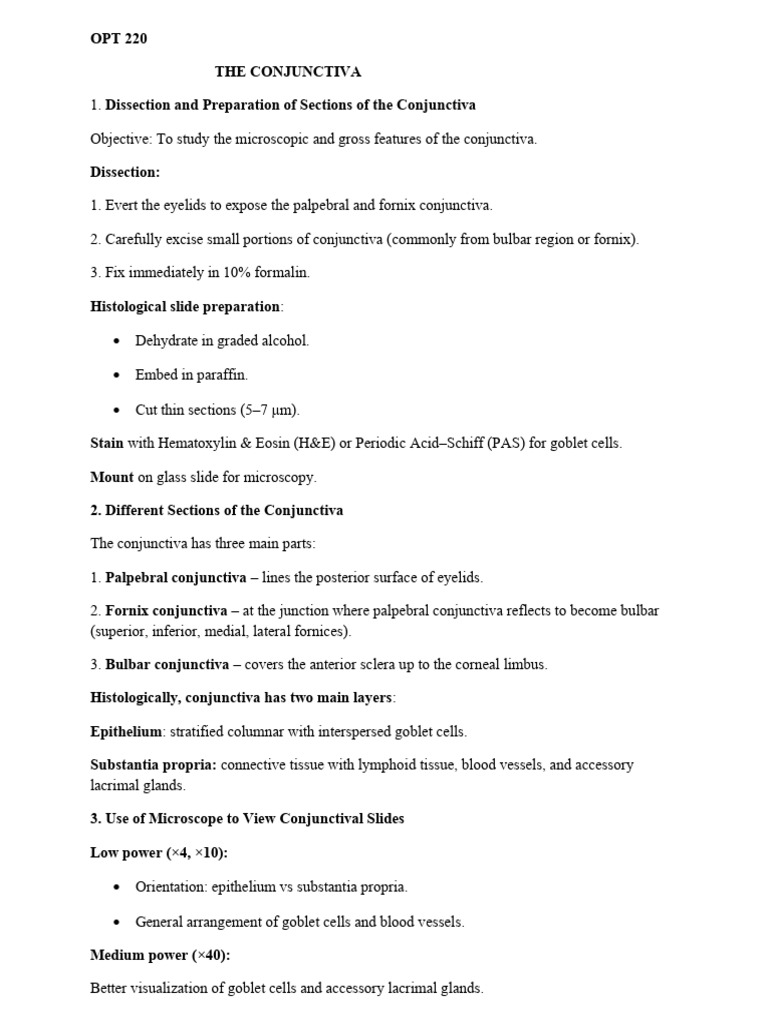 Dissection - of - The - Eye. - OPT - 220 - Docx (1) (ANA 202) | PDF ...