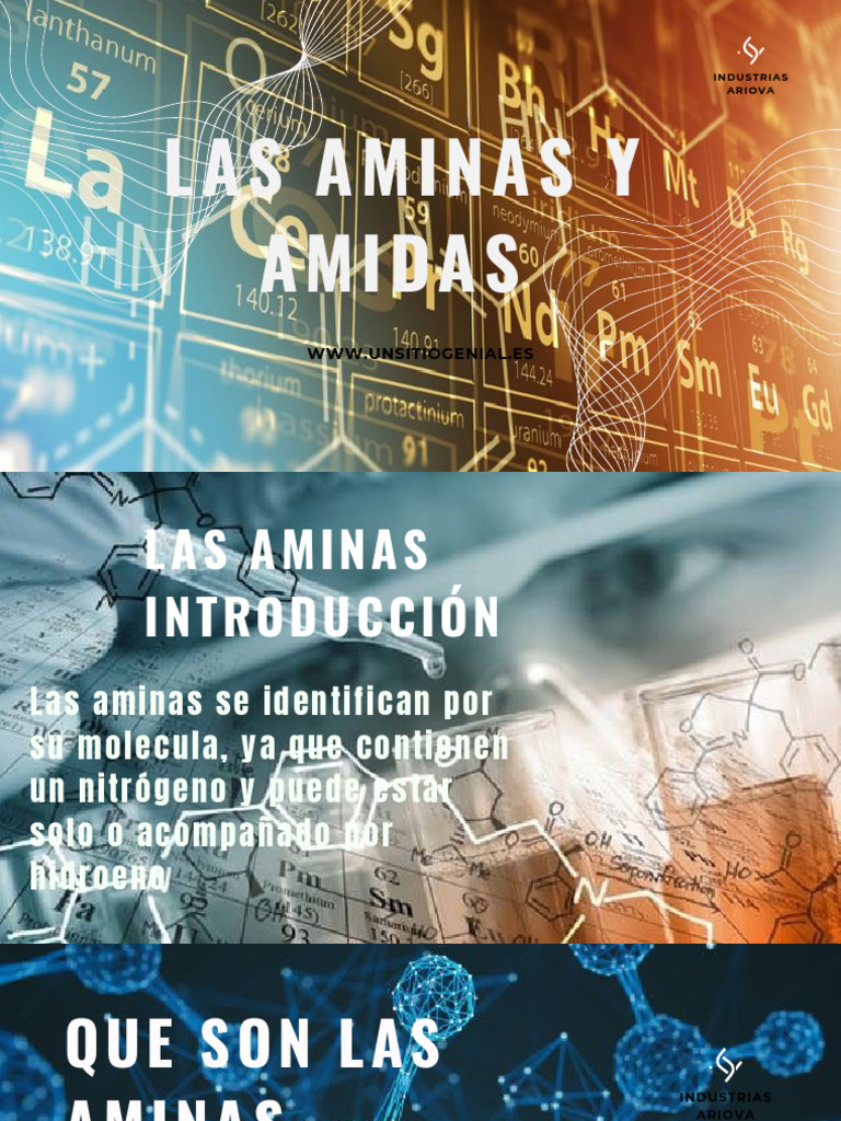 Presentación Introducción A La Ciencia Simple Blanco y Negro - 20251107 ...