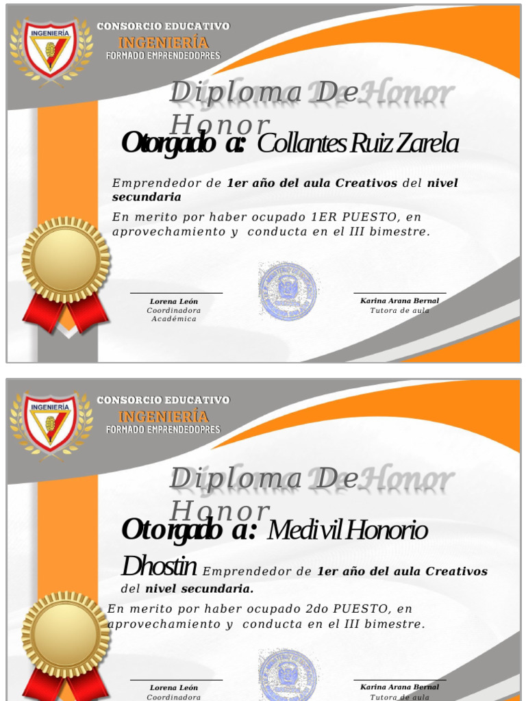 Diploma de Merito | PDF
