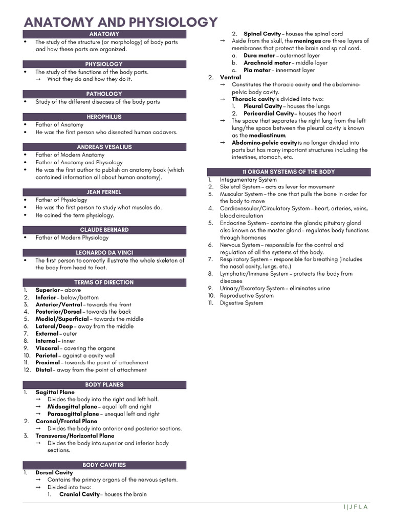 Anaphy 1 | PDF