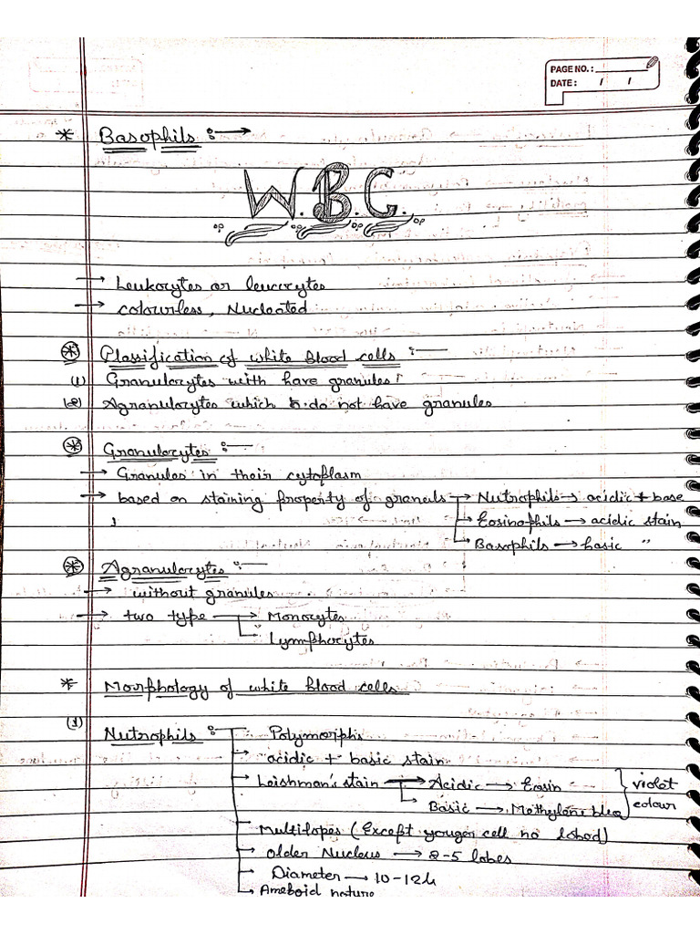 WBC, 2025 7-34 PM | PDF