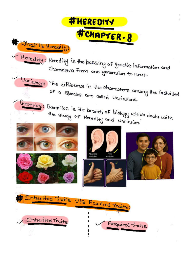 Heredity Handwritten Notes | PDF
