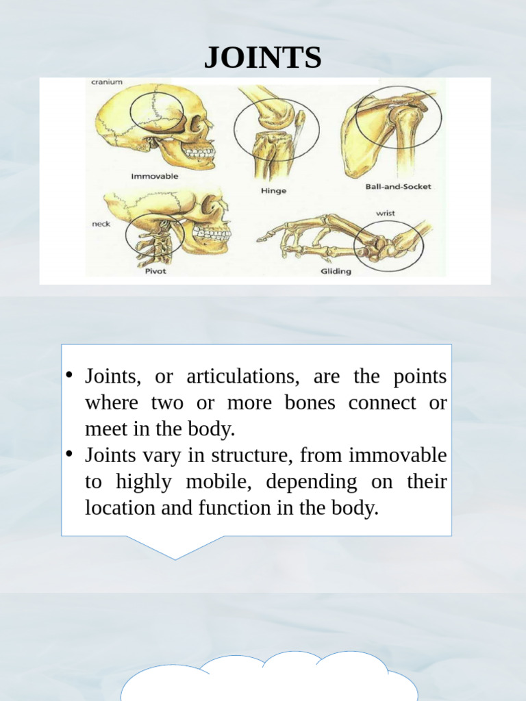 Joints-Types & Structure | PDF | Anatomical Terms Of Motion | Joint