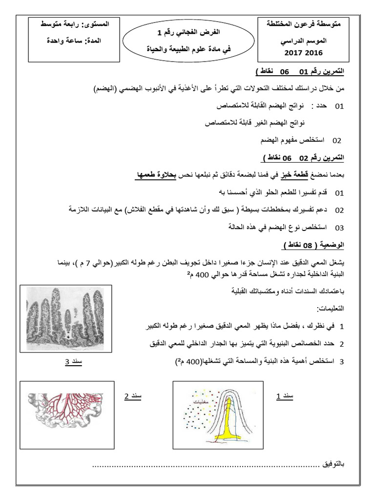 Dzexams 4am Sciences 196519 | PDF