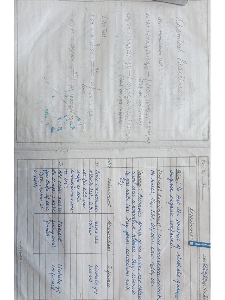 Functional Group PDF | PDF