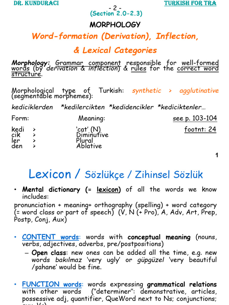 2 Morphology and Turkish | PDF | Morphology (Linguistics) | Word