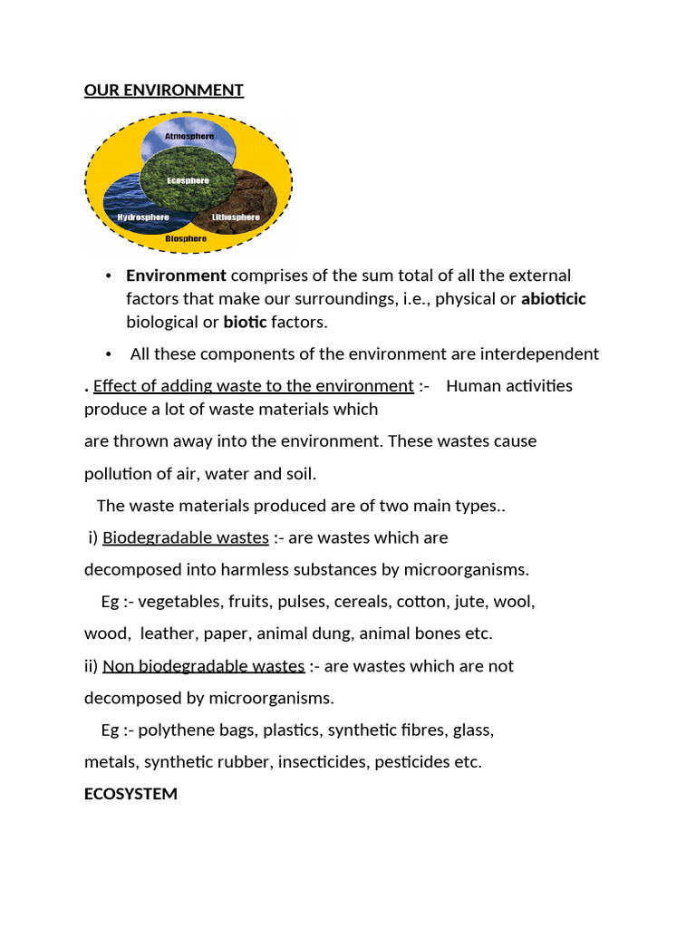 Understanding Ecosystems and Waste Management | PDF | Food Web ...
