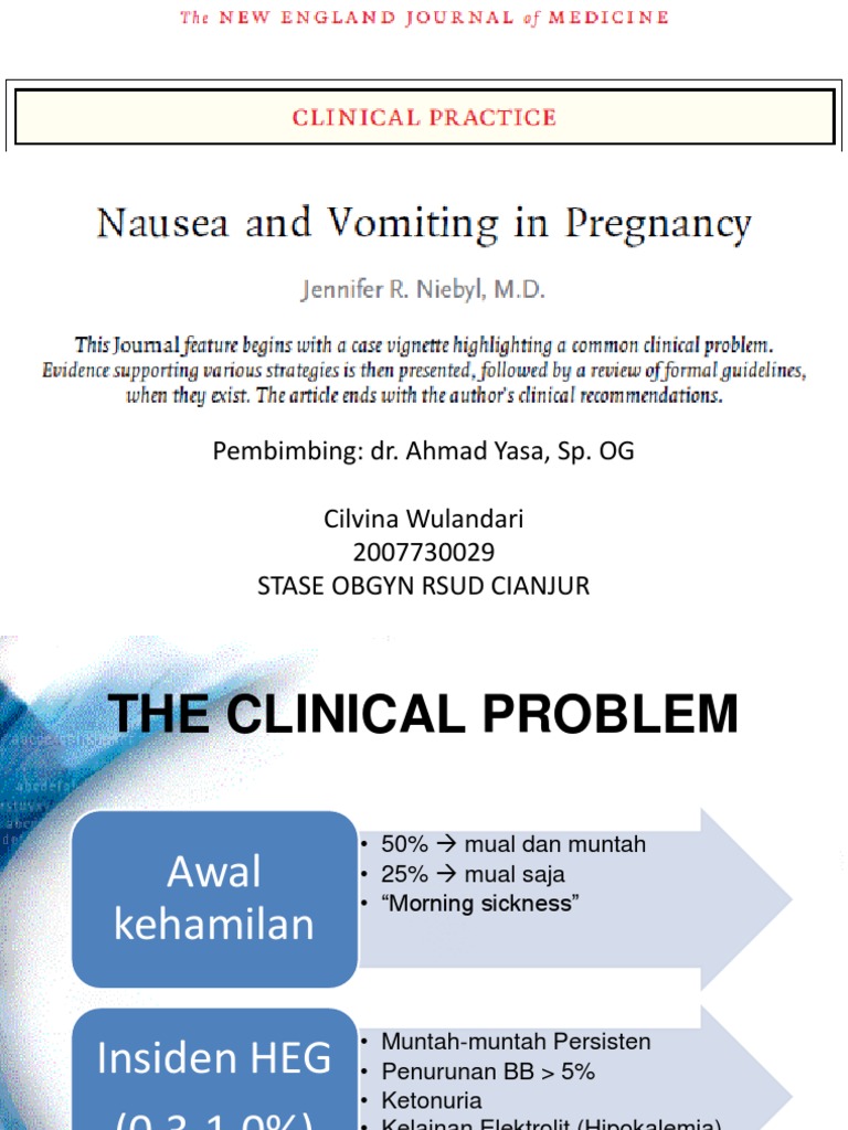 Jurnal Heg Fix | PDF