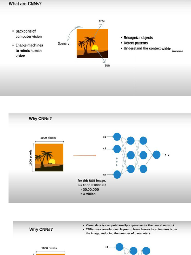CNN | PDF