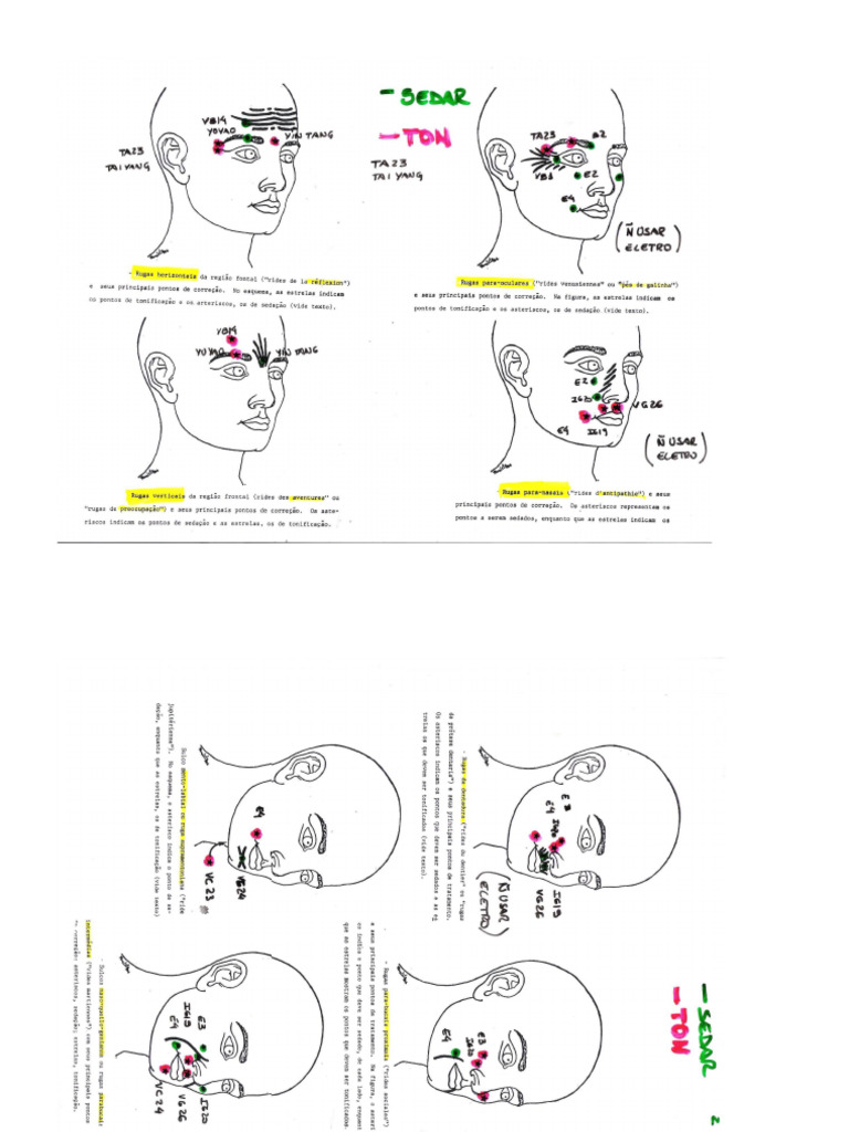 Aula Valeria Est%c3%89tica[1] | PDF