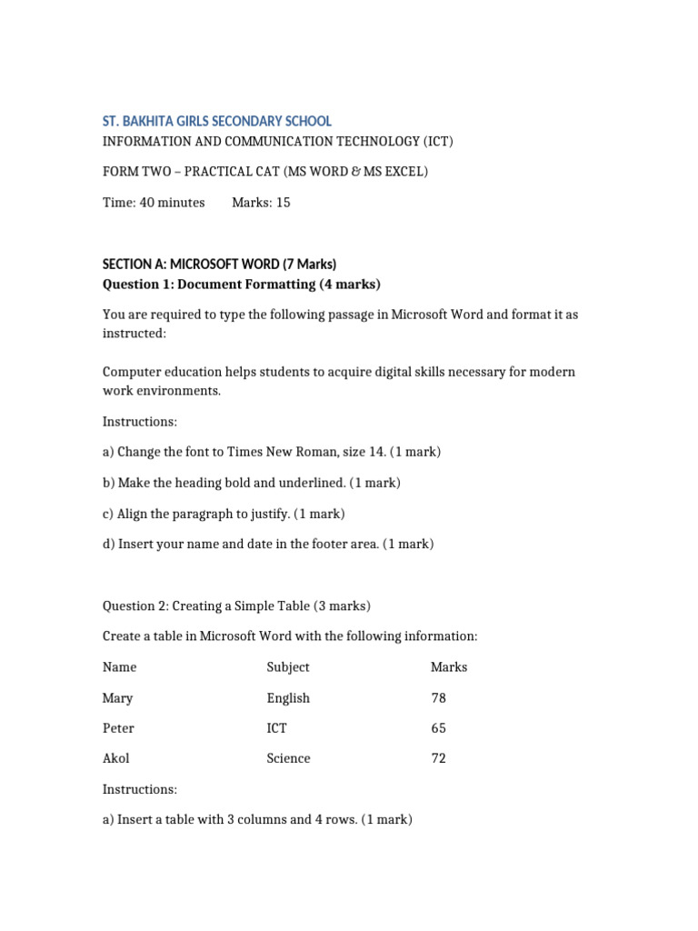 ICT Practical CAT: MS Word & Excel Guide | PDF