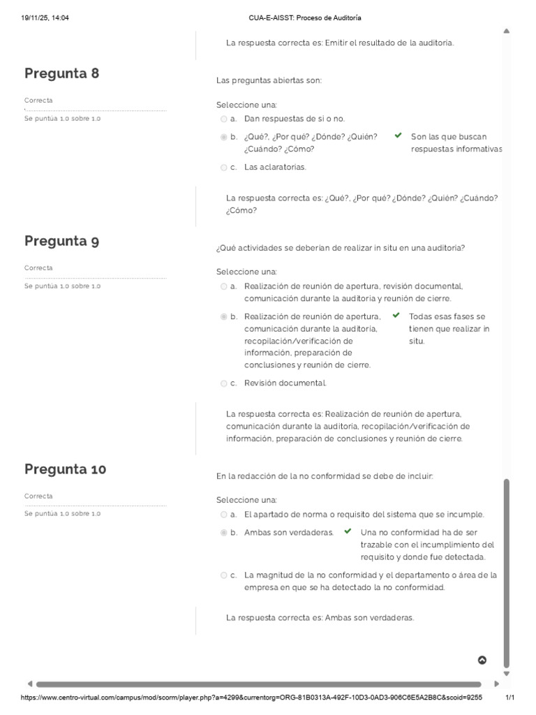 CUA-E-AISST - Proceso de Auditoría | PDF | Auditoría