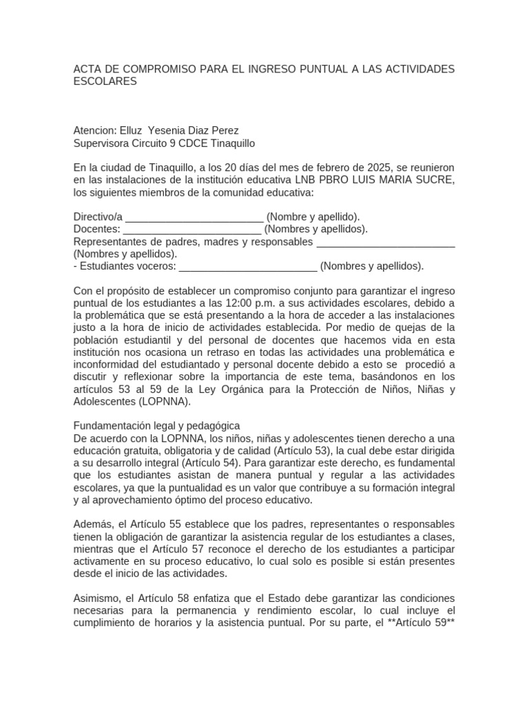 ACTA DE COMPROMISO PARA EL INGRESO PUNTU | PDF