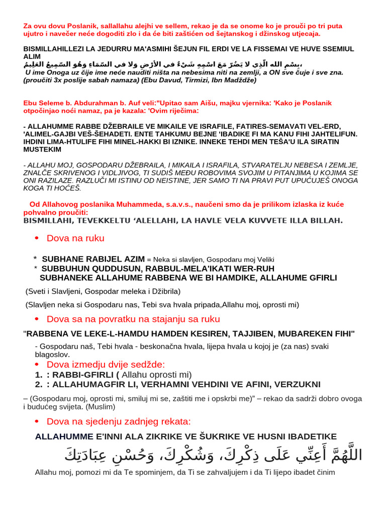 Dova Sa Na Povratku Na Stajanju Sa Ruku | PDF