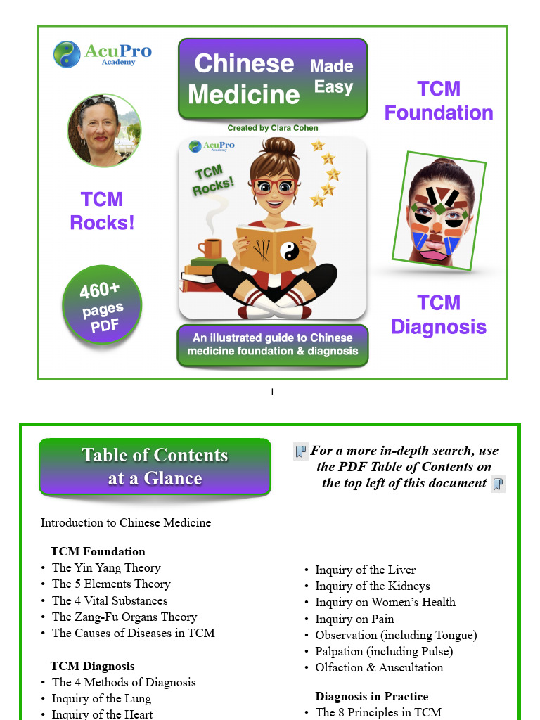 Chinese Medicine Made Easy | PDF | Traditional Chinese Medicine | Yin ...