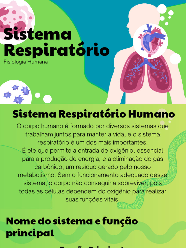 Cópia de Anatomy Lesson for Elementary Human Organs Pink and Blue Cute Illustrative Educational ...