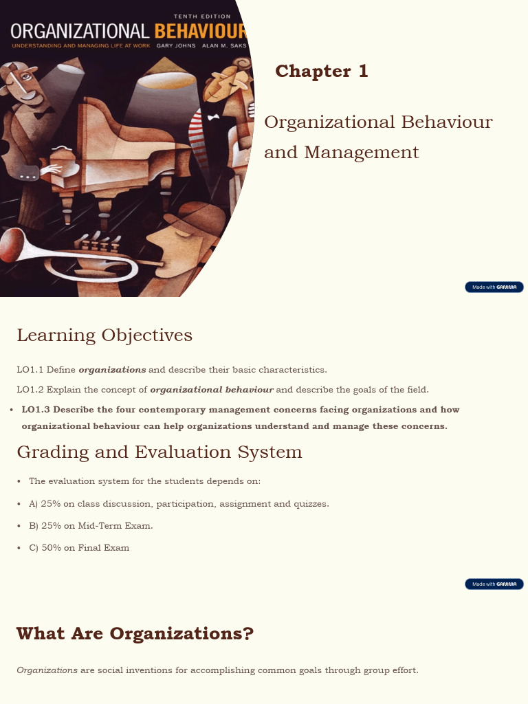 Chapter-1 | PDF | Organizational Behavior | Motivational
