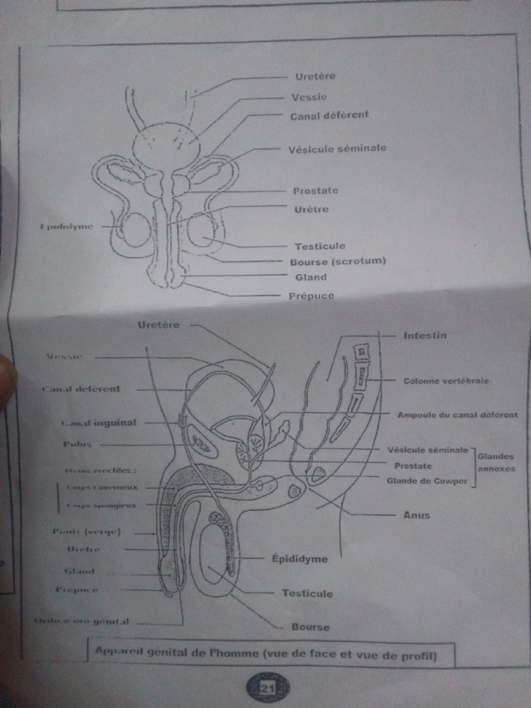 PDF_Phoenix_20251112_055059 | PDF
