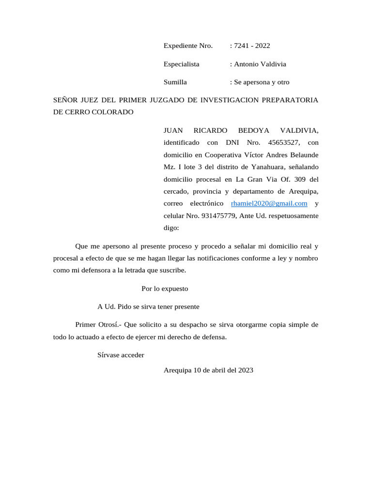 Apersona - Juan Bedoya | PDF