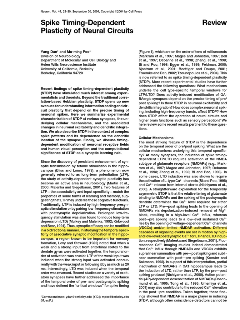 Spike Timing-Dependent Plasticity Review | PDF | Long Term Potentiation ...