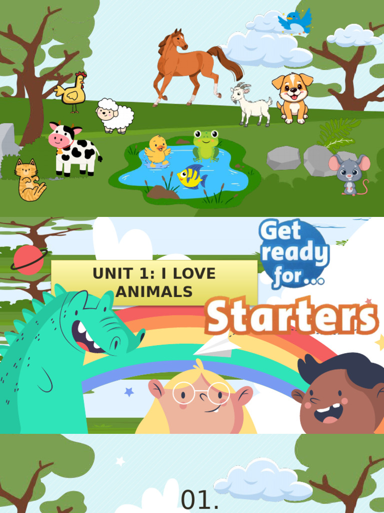 Fun Animal Vocabulary Activities | PDF | Chicken | Zoology