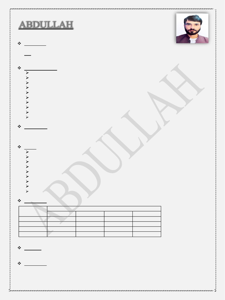 Abdullah CV PDF | PDF