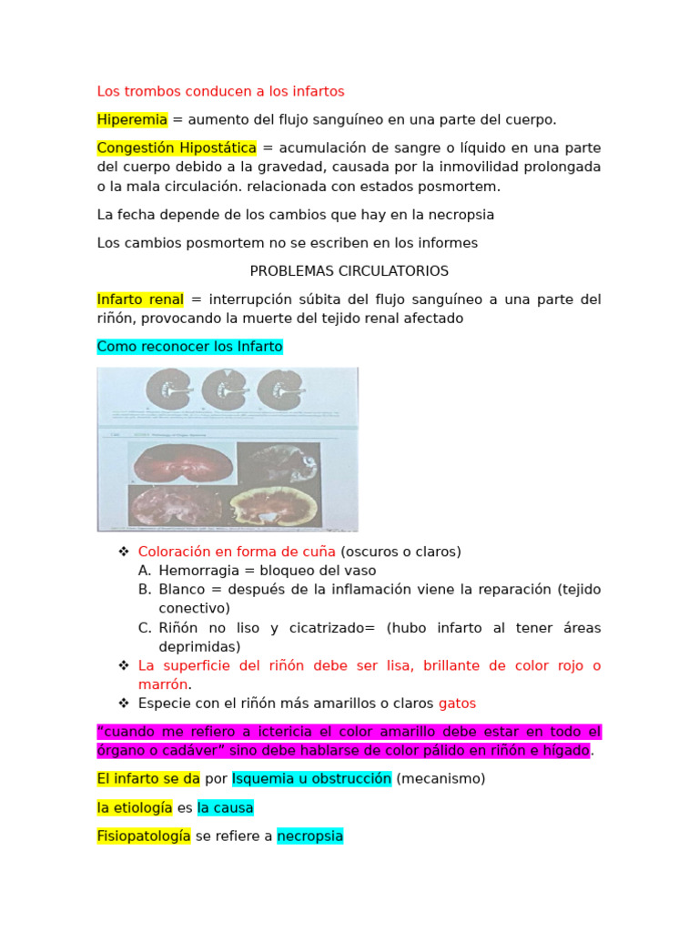 Los Trombos Conducen A Los Infartos | PDF | Inflamación | Riñón