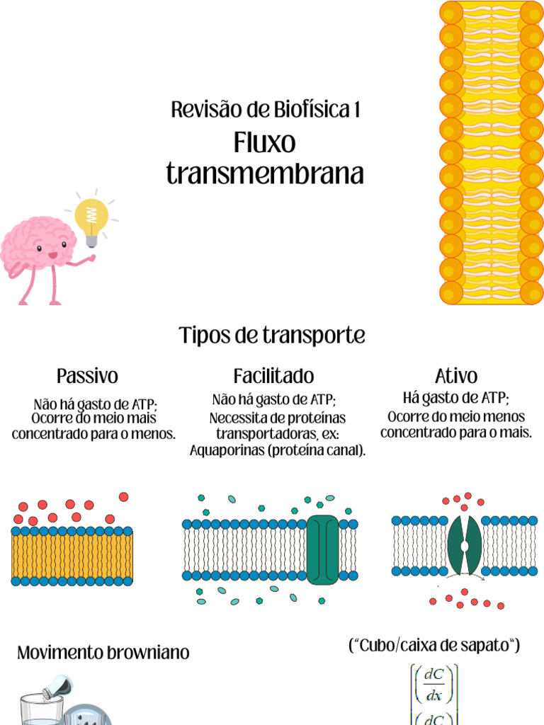 Tipos de Transporte Transmembrana em Biofísica | PDF