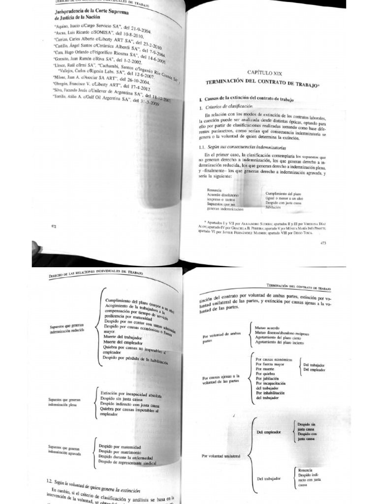 Ackerman, Mario. Manual de Elementos p. 473 a 501 | PDF