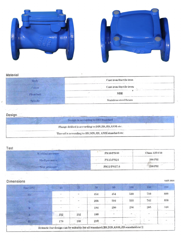 Check Valve | PDF