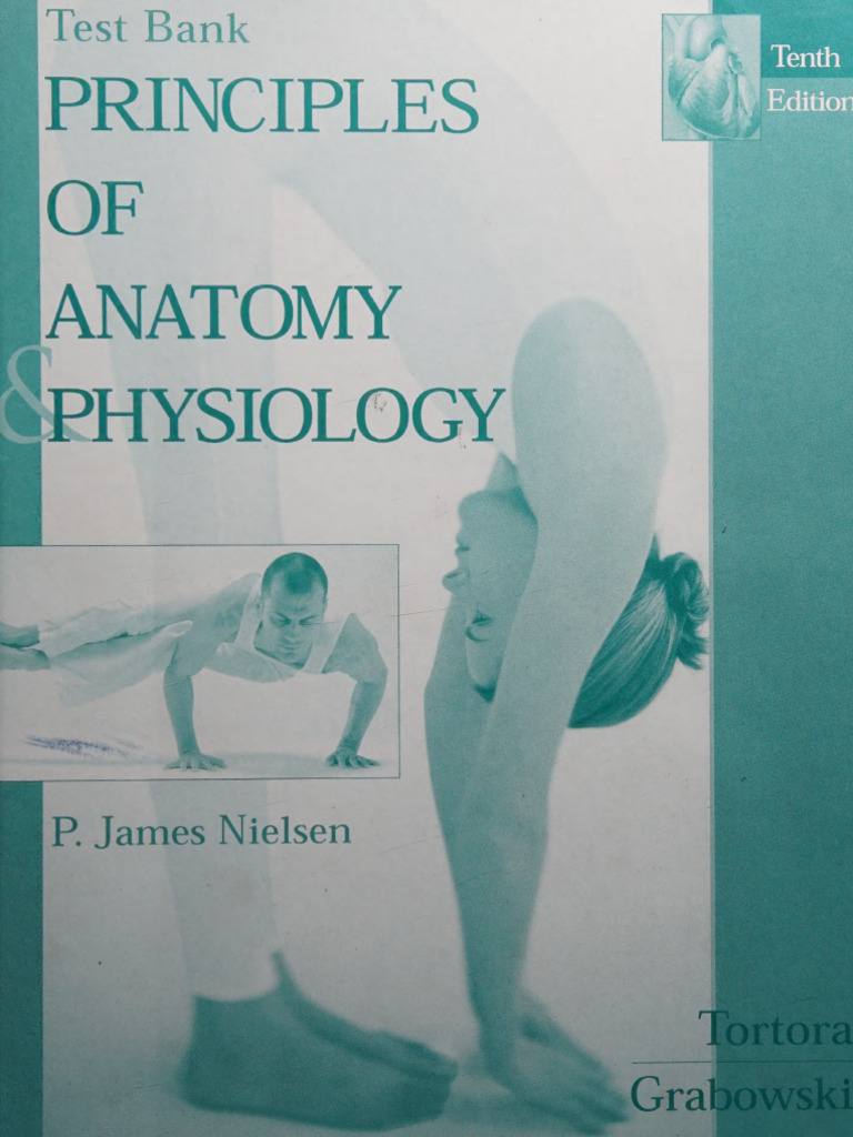 Anatomy and Physiology Test Bank | PDF | Human Body | Anatomical Terms ...