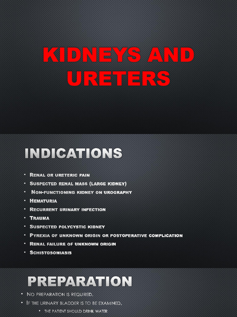 Kidney and Ureter Ultrasound Guide | PDF | Kidney | Urology