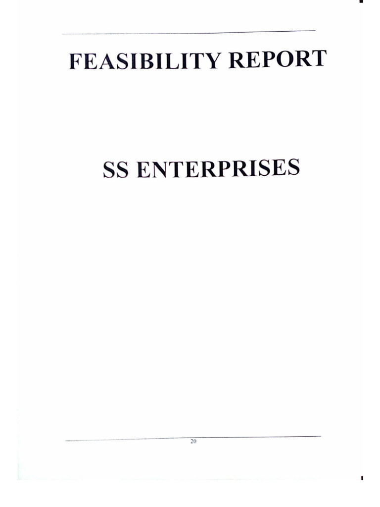 Feasibility Report - SS Enterprise | PDF