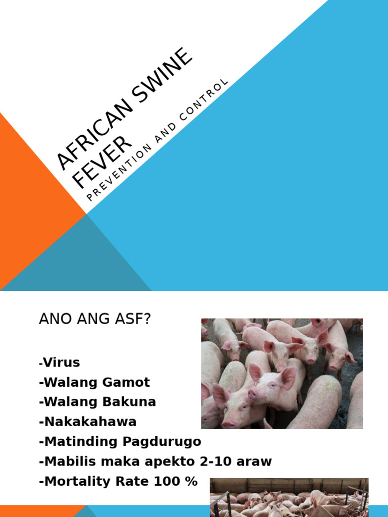 May 30 Asf Presentation | PDF | Polymerase Chain Reaction | Medical ...