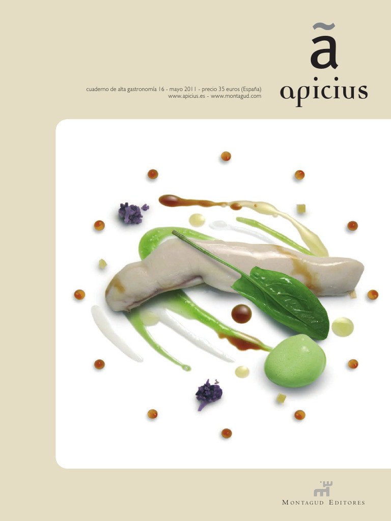 Apicius 16 Digital | PDF | Panes | Caldo