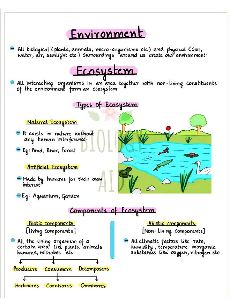 Class 10 Revision Notes Chapter 13 Our Environment | PDF