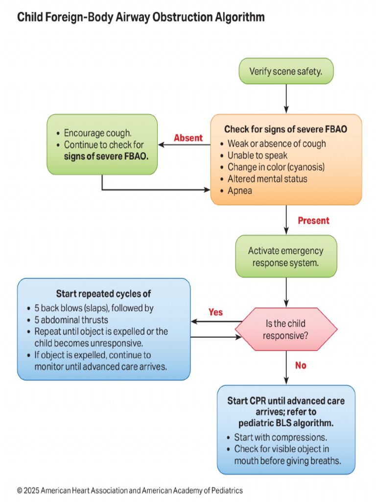 Algorithm BLS Child FBAO | PDF