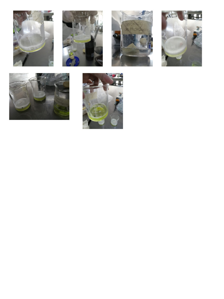 Lab 20251119 112701 0000 | PDF