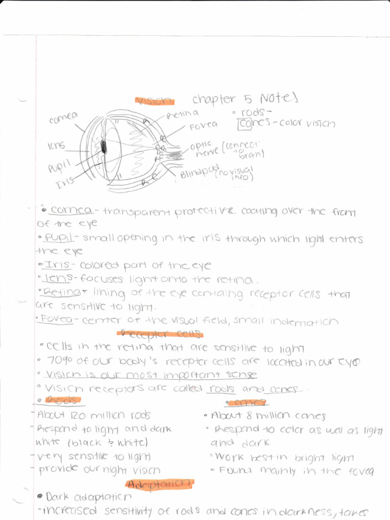 PSY2012 Chapter 5 Notes | PDF
