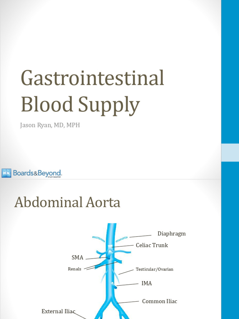 Gastrointestinal Blood Supply Atf | PDF | Stomach | Ischemia